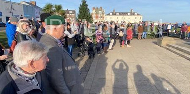39249790-Members of the public at the Seaham Armistice Day Parade ...