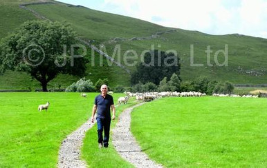 39079566-Richard Stockdale of Oat Croft Farm, Burnsall , with some of ...