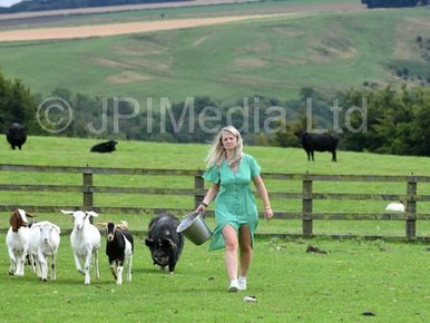 39085898-Ginni Skilbeck with some of her goats and Bonnie a Kune Kune ...