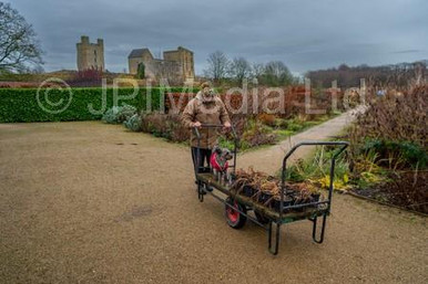 39295649-Date: 7th December 2021. Picture James Hardisty. Helmsley ...