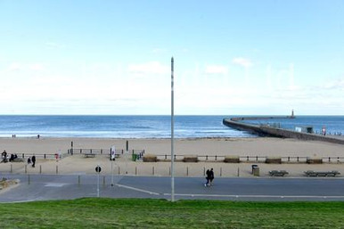 38929361-Dog exclusion zones on Sunderland beaches to remain following ...