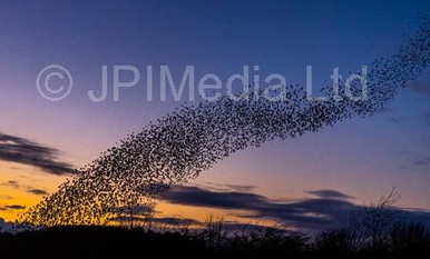 38869852-Date: 5th January 2021. Picture James Hardisty. Post Picture ...