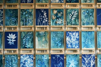 39050916-Jill Welham, a printmaker and photographer based in Melsonby ...