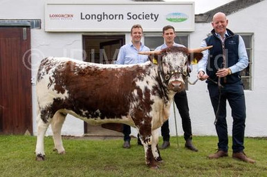 39052680-James and Adam Buitelar with with Longhorn and handler Ben ...