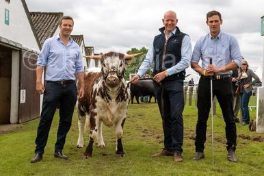 39052723-James and Adam Buitelar with with Longhorn and handler Ben ...