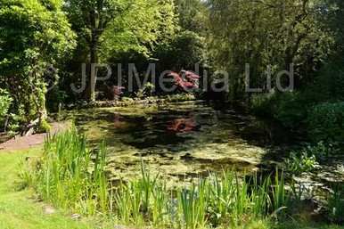 39053475-Birstwith Hall gardens were created by the Ackroyd family in ...