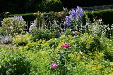 39053497-Birstwith Hall gardens were created by the Ackroyd family in ...