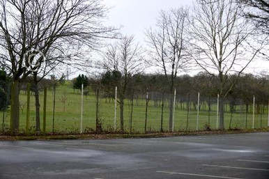 38908032-Vandals attack Boldon Golf Club by pouring diesel over a ...