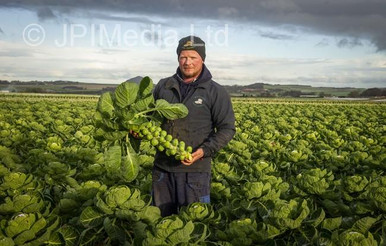 39625432-PIC LISA FERGUSON 08 12 2022 Chris Logan from W&R Logan farms ...