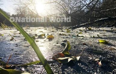 39628962-The Park Pond at Ward Jackson Park, Hartlepool. Picture by ...