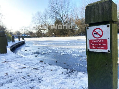 39628963-The Park Pond at Ward Jackson Park, Hartlepool. Picture by ...