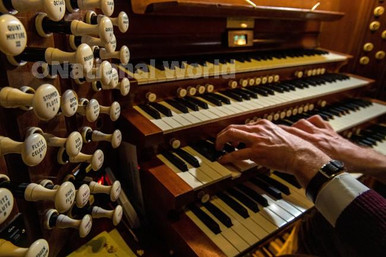 39639919-The new season of the organ recitals includes Graham Thorpe ...