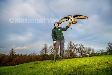 39640813-Date: 11th January 2023. Picture James Hardisty. The National Centre for Birds of Prey ...