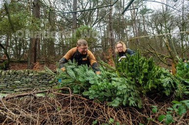 39641071-Calderdale CouncilÃ¢â‚¬â„¢s Countryside Officer, Chris ...