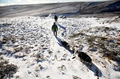 39642917-Walkers with ther dogs are pictured in wintery conditions at ...