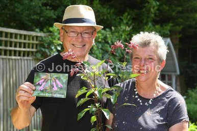 36386698-DM1853566a. jpg. A couple from Southwater John and Sarah Knott ...