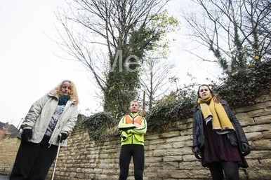 38849702-Large sycamore tree and bulging wall at Mirfield. From the ...