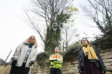 38849703-Large sycamore tree and bulging wall at Mirfield. From the ...