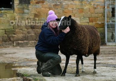 39655371-John and Alison Stevenson from Blue House Farm, Liverton, near ...