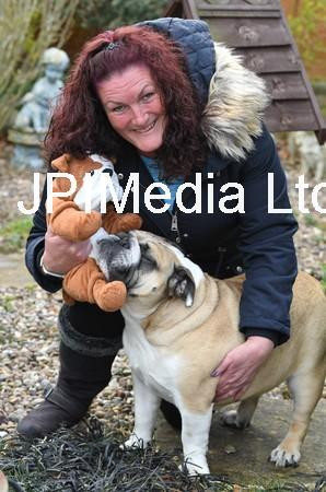 38610878-Photo Neil Cross Tracy O Reilly has started a teddy trail in ...