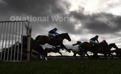 39661667-The Askham Bryan College Point to Point meeting, near York ...