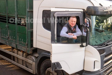 39665692-Joe Spetch and his truck. Ship Inn Farm, Long Drax. Picture ...