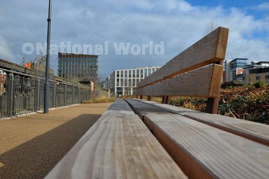 39664382-Monk Bridge Viaduct urban garden 25-02-2023 picture Steve ...