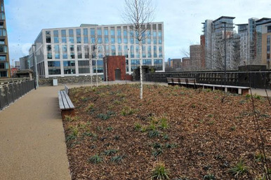39664377-Monk Bridge Viaduct urban garden 25-02-2023 picture Steve ...