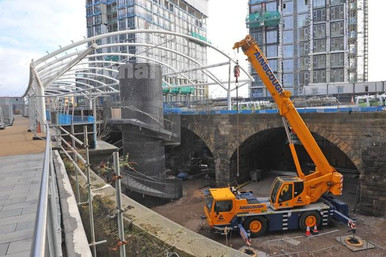 39664388-Monk Bridge Viaduct urban garden 25-02-2023 picture Steve ...