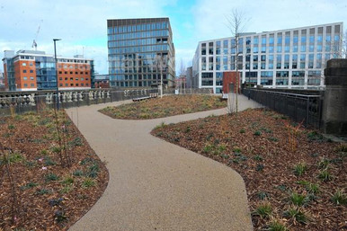 39664384-Monk Bridge Viaduct urban garden 25-02-2023 picture Steve ...