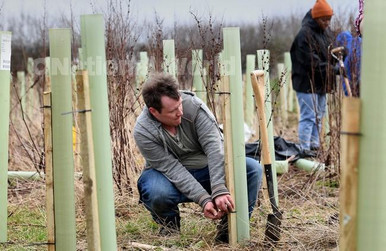 39666049-Planting of Trees on the 65-acre site at Skipbridge just off ...