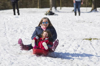 39678113-Snowy Calderdale. Sledgging at Shibden Park. Grace Jagger ...