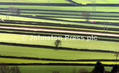 22555697-Possible picture Post. . . dry stone walls making abstract ...