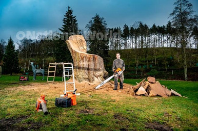 39683297-Karl Baker, Yorkshire Chainsaw sculpture working at the ...