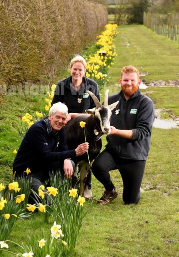39689324-Monk Park Farm, Moor Lane, Bagby. Pictured from the left are ...