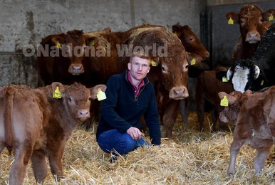 39691509-Tom Waring pictured at Park Farm Everingham. Picture taken by ...