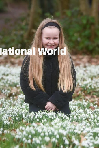39658201-Snowdrops at Lytham Hall. Pictured is Katie Schofield, 9 ...