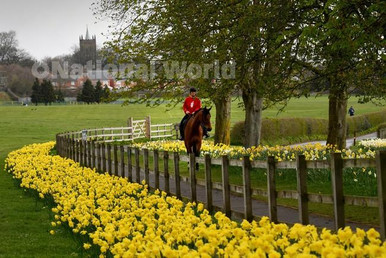 39695265-Melissa Whitfield on her horse Bailey walks through the ...