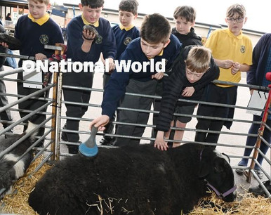 39696426-CLASS ACT 2023 - APRIL - Pupils at Nicol Mere Primary School ...