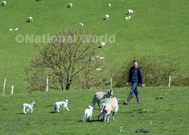39704097-Bruce McLeod from near Gargrave has been chair of the Friends ...