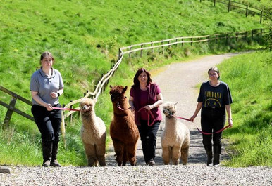39714838-Deborah Watt centre pictured with Amy Llewellyn and Rebecca ...