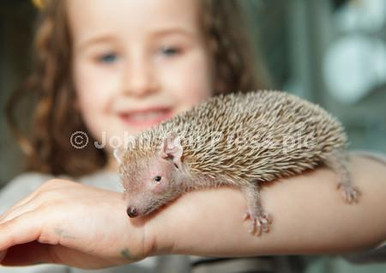 32673698-Picture Toby Williams 07920841392. Five Sisters Zoo brings the ...