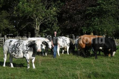 39530561-Daniel Thackray at his farm in Fewston. DanielÃ¢â‚¬â„¢s farm ...