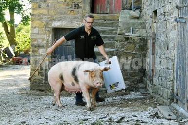 39530564-Daniel Thackray at his farm in Fewston. DanielÃ¢â‚¬â„¢s farm ...