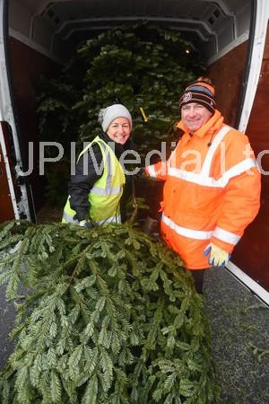 39321286-Trinity Hospice volunteers pick up Christmas trees from across the Fylde Coast ...