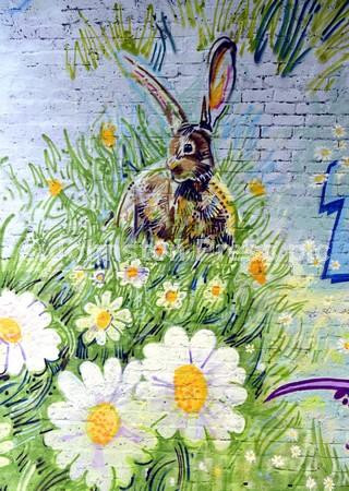 37993291-Pic Lisa Ferguson 25 07 2019 Colinton Tunnel Mural project Artist Christopher ...