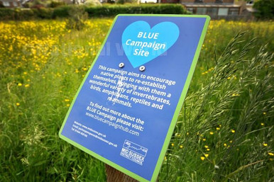 39717938-Blue campaign sites at Orchard Way and Green View, Burgess ...