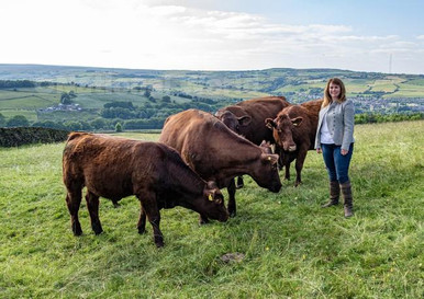 39725052-Judith Patrick, livestock secretary for Honley Show pictured ...