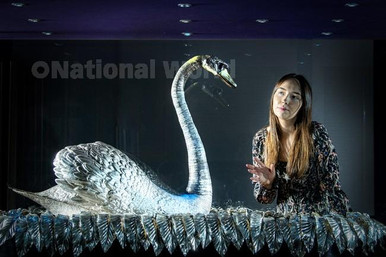 39729382-Exhibitions assistant Sarah Webster looks atÂ The Silver Swan at The Bowes Museum in ...