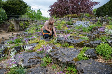 39730090-Bethan Collerton who has transformed the alpine garden at ...